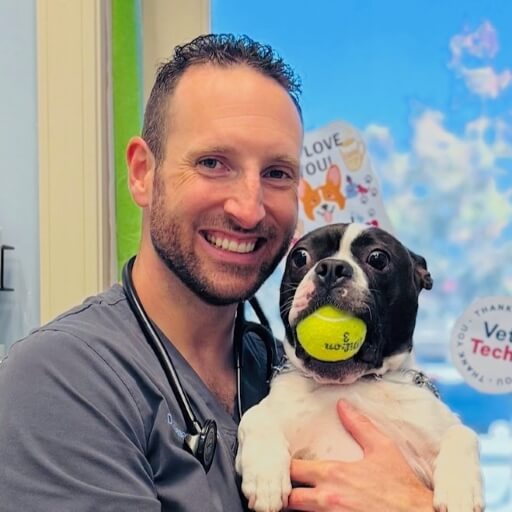 Dr. Casey Clark | In-Home Euthanasia Vet, Mount Pleasant, SC - CodaPet