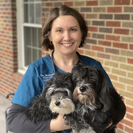 Dr. Melissa Clauson | In-Home Euthanasia Vet, Grove City, OH - CodaPet
