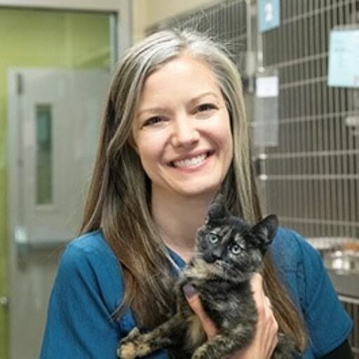 Dr. Courtney White | In-Home Euthanasia Vet, South Lyon, MI - CodaPet