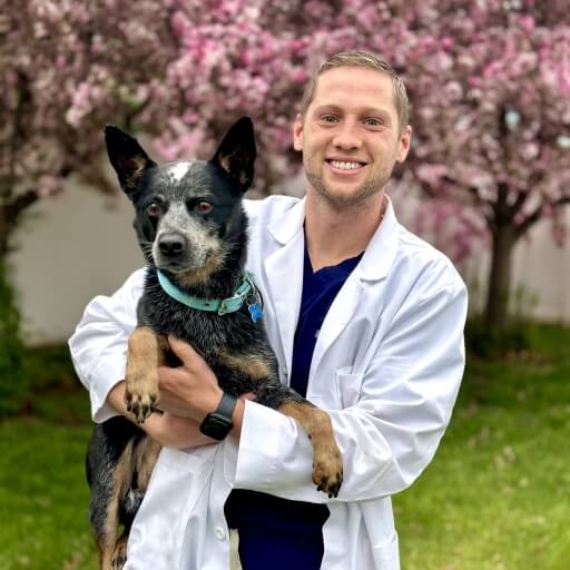 Dr. John Murray | In-Home Euthanasia Vet, Palatine, IL - CodaPet