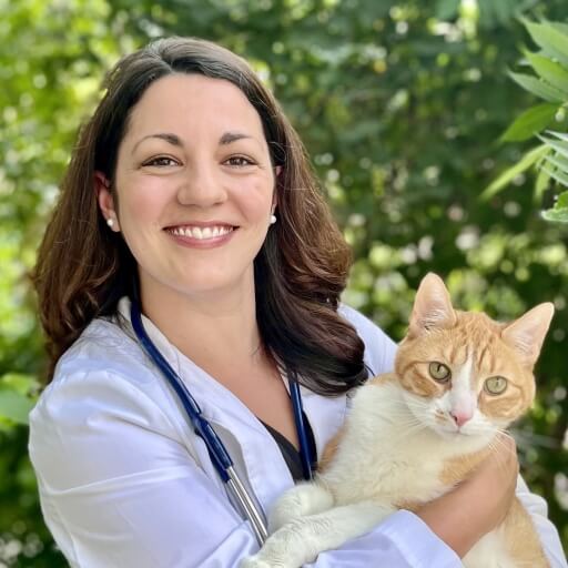 Dr. Jessica Mumm | In-Home Euthanasia Vet, Minneapolis, MN - CodaPet
