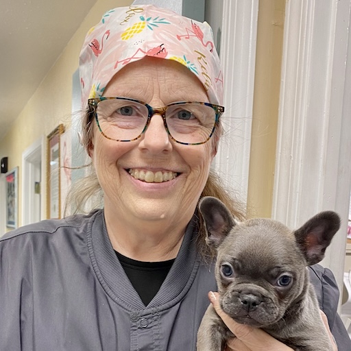 Dr. Laurie Noe | In-Home Euthanasia Vet, Fresno, CA - CodaPet